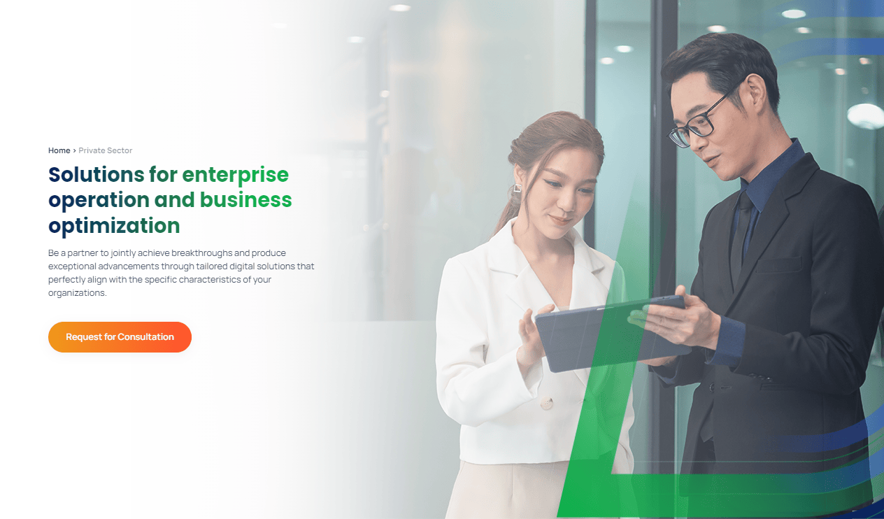 Private Sector - FPT IS - EN