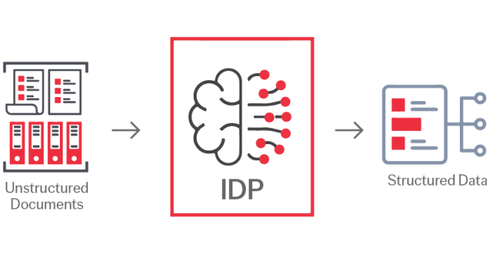 How Intelligent Document Processing (IDP) Can Leverage Business Processes?