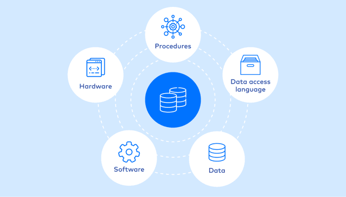 Database là gì? Phân loại và ứng dụng của cơ sở dữ liệu